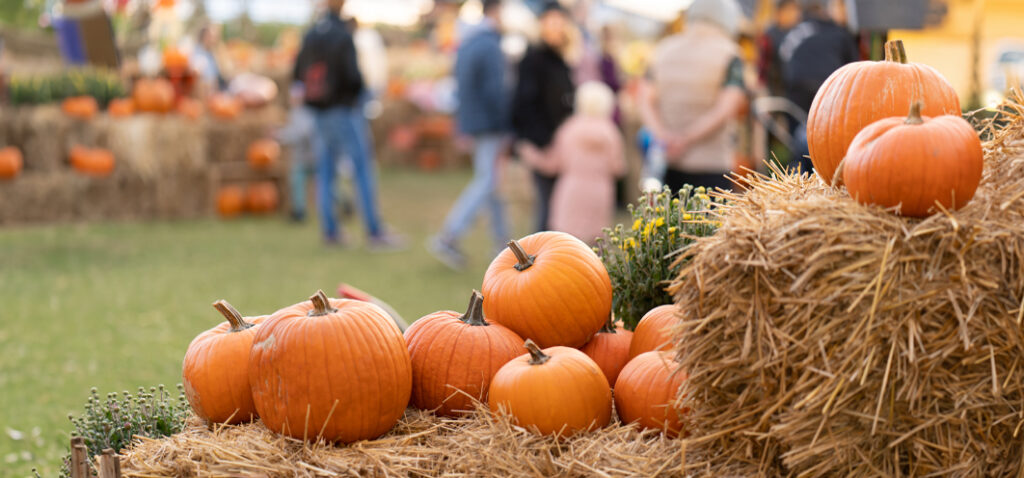 Family-Friendly Activities for the Fall – Qualico Communities Edmonton